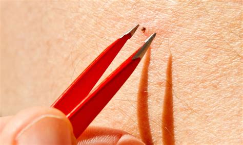 De Teek Natuurmonumenten