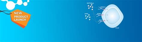 Antibodies Protein Elisa Kits Clone And Reagents For Life Science Cusabio