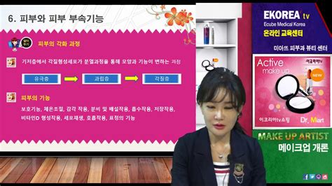 미용뷰티 메이크업 자격증 필기 피부와 피부 부속기관 반영구에도 필수내용 Youtube
