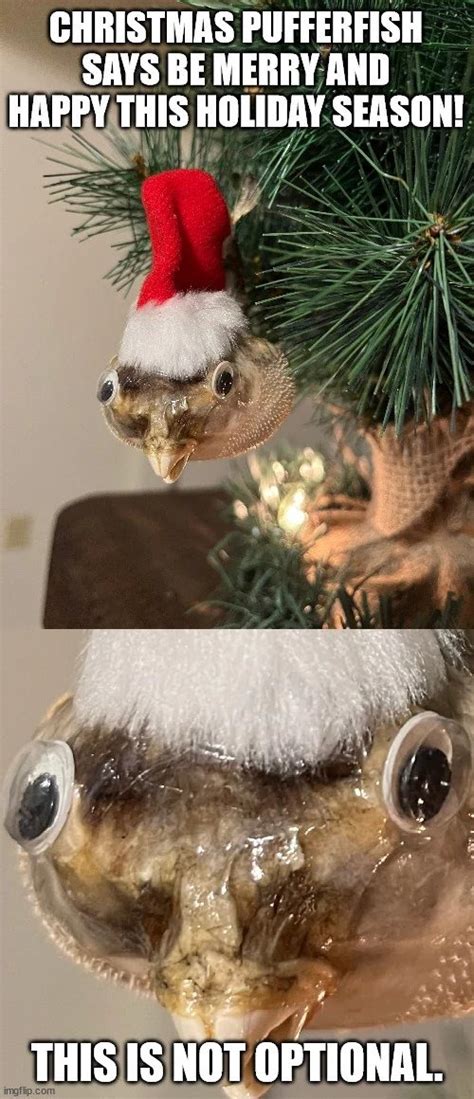 Or Else Meme By Socialismkills Memedroid