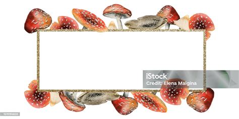 하얀 배경에 분리된 금색 테두리 수채화 그림이 있는 날아다니는 Agarics 버섯 직사각형 프레임 복사 공간이 있는 가로 배너