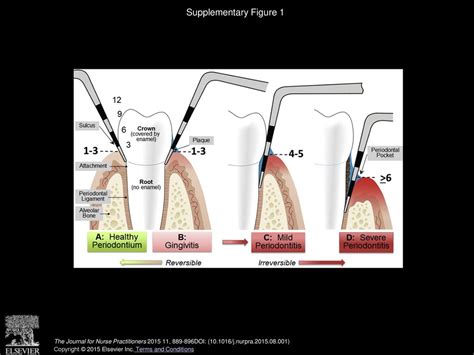 Oral Health An Untapped Resource In Managing Glycemic Control In Diabetes And Promoting Overall