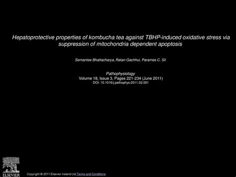 Hepatoprotective Properties Of Kombucha Tea Against Tbhp Induced Hepatoprotective Properties Of Kombucha Tea Against Tbhp Induced
