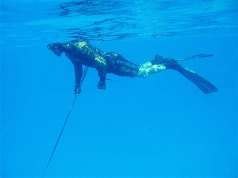 An In Depth Look Into Spearfishing Ilovefishing