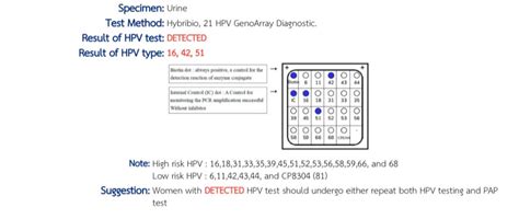 ชะอำแล็ป เชื้อไวรัส Hpv Human Papilloma Virus 🌱 มะเร็งปากมดลูก เกิด