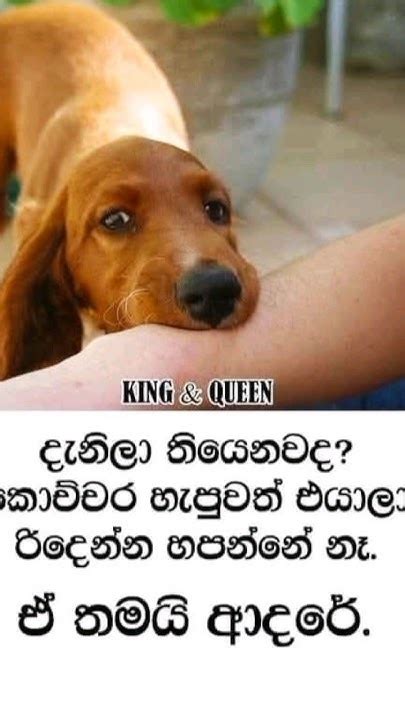 ඒ තමයි ආදරෙ Youtube