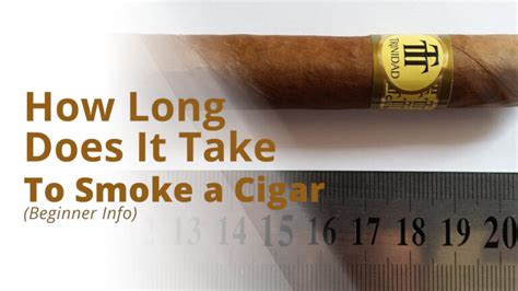 Cigar Anatomy The 6 Parts Of A Cigar Cigars Experts