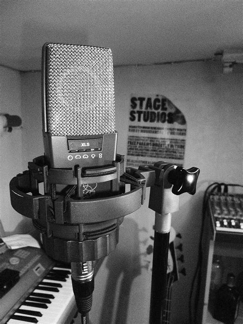 P1000662 The Fragile Bones Flickr