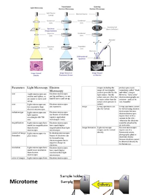 Electron Micros Pdf