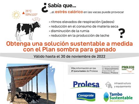 Sombra Para Ganado En Prolesa 2022 Prolesa