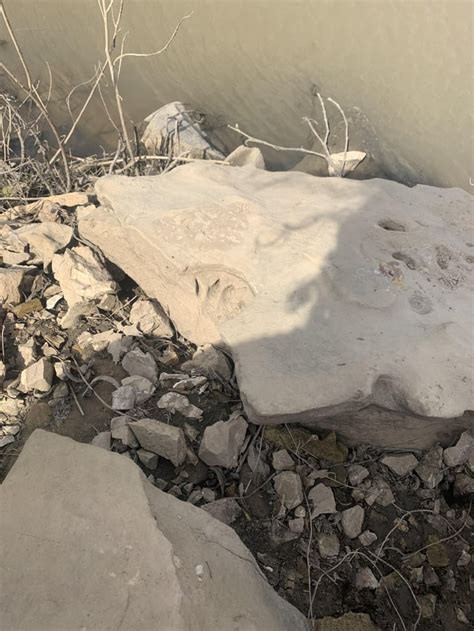 Hoax Pseudo Fossil Or A Ground Breaking Discovery My Current Plight