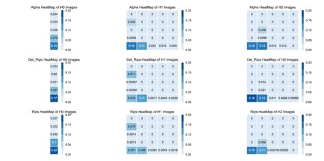 Heatmaps Of H 0 H 1 And H 2 Persistence Diagram Pi Vectorizations