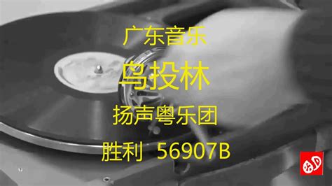 广东音乐 《鸟投林》 扬声粤乐团 Youtube