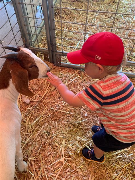 Adorable Photo Of A Young Fan Meeting Mike Trout Rangelsbaseball