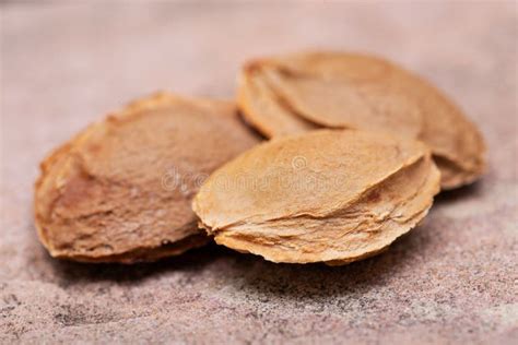 Dried Apricot Kernels The Seed Of An Apricot Often Called A `stone` On