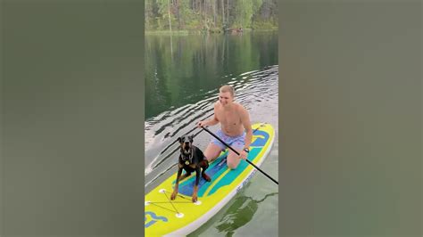 ублюдок мать твою Youtube