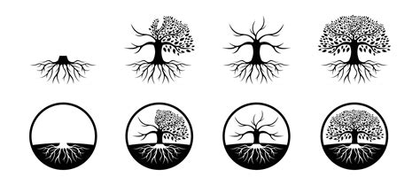 Tree Of Life Logo Design Inspiration Isolated On White Background Black Oak Tree Logo And Roots