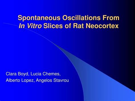 Ppt Spontaneous Oscillations From In Vitro Slices Of Rat Neocortex