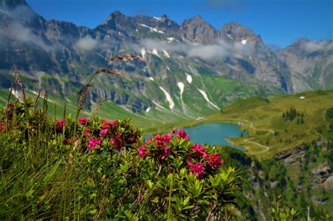 Why Ecology Matters Rutger Hoekstra Medium