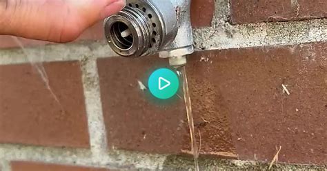 Whats This Faucet For Album On Imgur