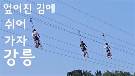 50대 1인가구 Vlog 지친 일상 당일로 다녀올 수 있는 정동진 강릉 여행지 추천 Youtube