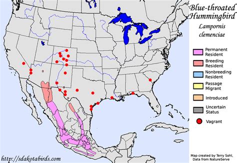 Blue Throated Hummingbird Species Range Map