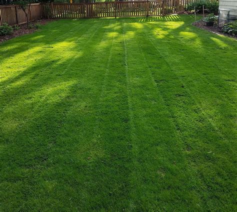 Aeration And Overseeding Services Kg Landscape