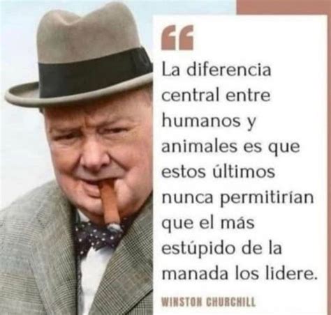 Pin De Juan Poza Poza En Frase En 2024 Frases Liberales Frases