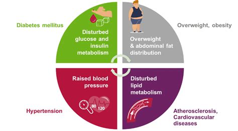 People With Health Issues Metabolic Syndrome Isomaltulose