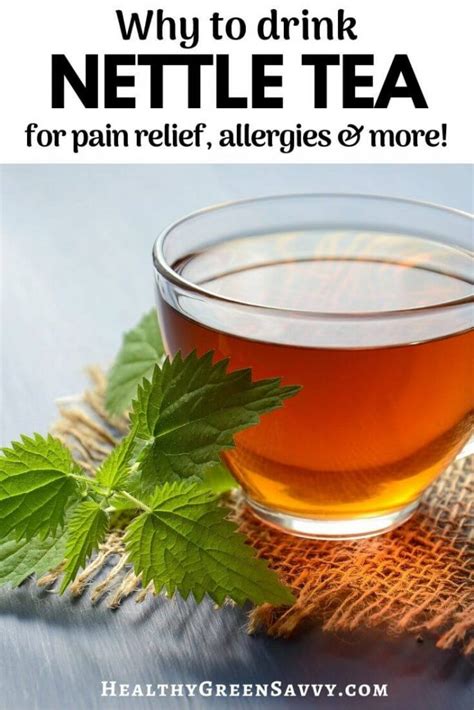 7 Excellent Nettle Leaf Tea Benefits