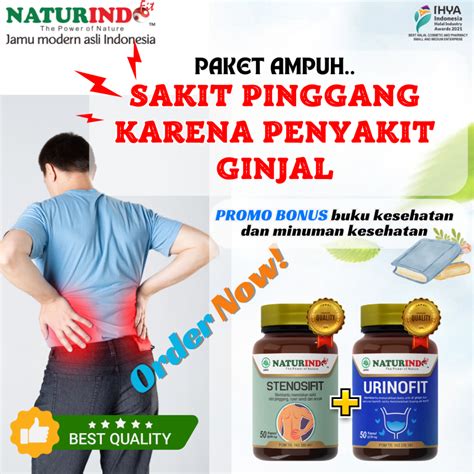 Jual Obat Saraf Kejepit Sakit Pinggang Kecethit Kecetit Encok Sakit Pinggang Karena Sakit Ginjal ...