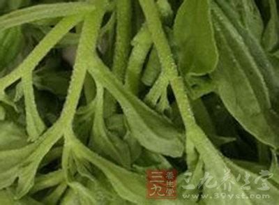 卢天草的神奇功效 天草什么样子 仙鹤草的奇效 大山谷图库