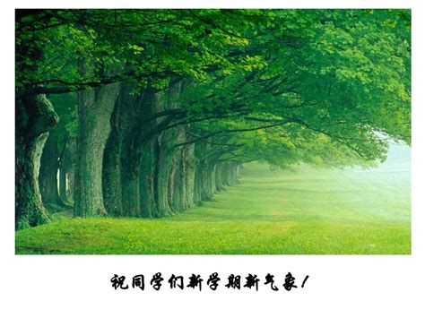 经济法概述word文档在线阅读与下载无忧文档