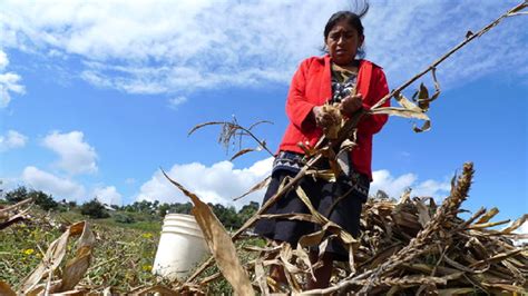 Violencia De Género En El Campo Billie Parker Noticias