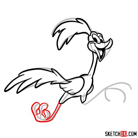 How To Draw The Road Runner From Looney Tunes Step By Step