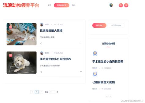 Msjm005基于springboot流浪动物领养系统 Csdn博客