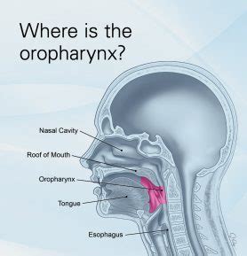 Superdrug Health Clinic Throat Cancer Lymph Nodes