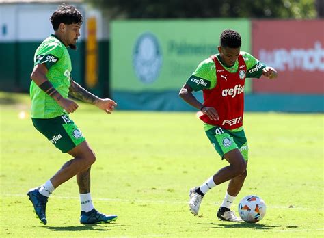 Palmeiras Se Reapresenta Após Derrota Para O Santos E Inicia Preparação