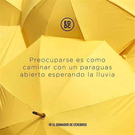 Funciones Del Neocortex En El Cerebro Humano