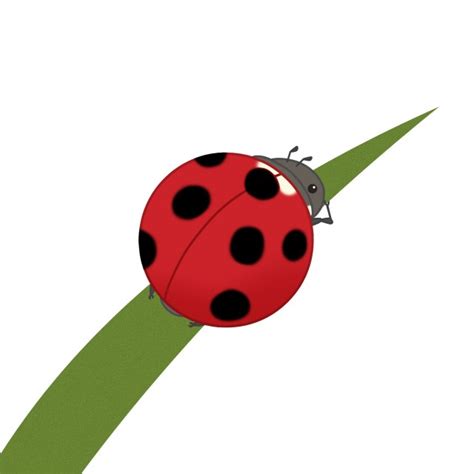 昆虫のイラストテントウムシ 無料イラスト素材素材ラボ