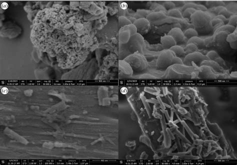 This Scanning Electron Microscope Image Depicts The Proteinoids A