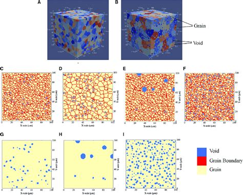 Visualization Of Se Microstructure With Grains Grain Boundaries Gbs