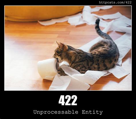 422 unprocessable entity status code and cats