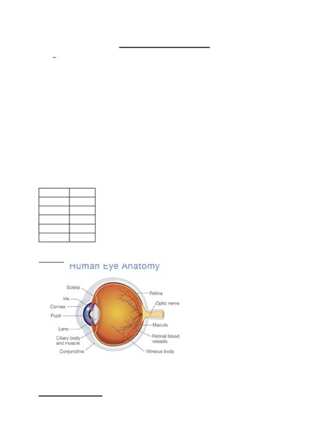 The Eye Notes Int Sci Pdf