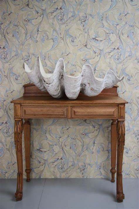 Massive Old Giant Clam Shell