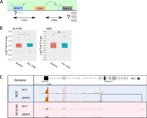 Figure 2 From The Battle Inside Our Genome Controlling Transposable