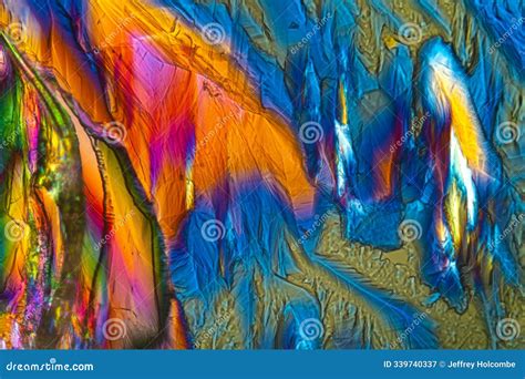 Abstract Micrograph Of Cell Walls From An Acorn Bract With Wate