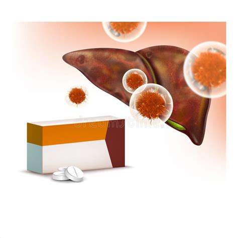Lipids Vector Illustration Triglycerides Waxes And Steroids Diagram