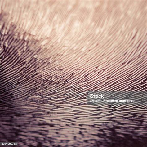 다채로운 물결 모양의 양각된 유리 표면 텍스처의 판타지 세계 개념 매크로 이미지 0명에 대한 스톡 사진 및 기타 이미지 0명 건축 결정체 Istock