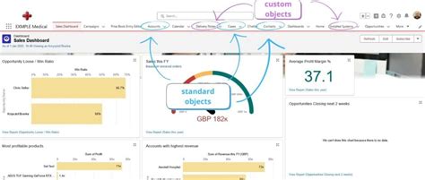 Understanding Standard Vs Custom Objects In Salesforce IntegraLogic